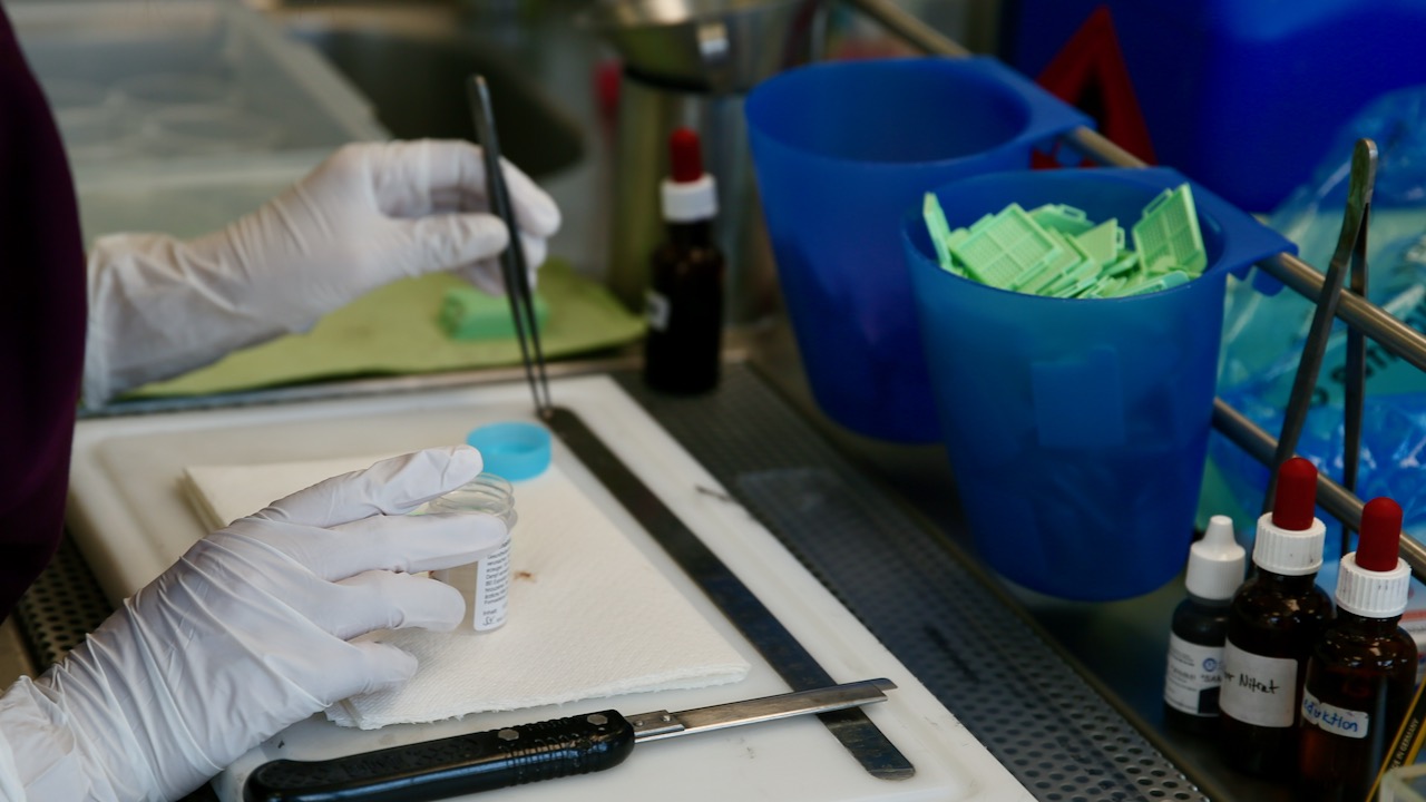 EB1A0392 – PATHOLAB - Labor für Pathologie Salzburg